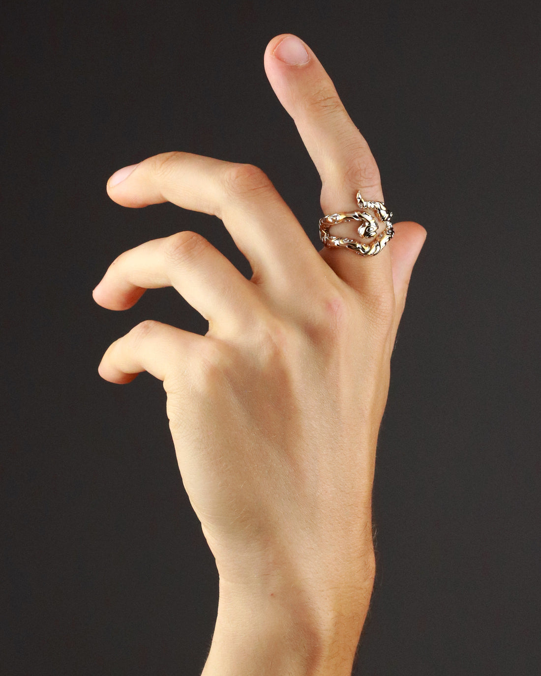 ETERNAL RING – Austin James Smith