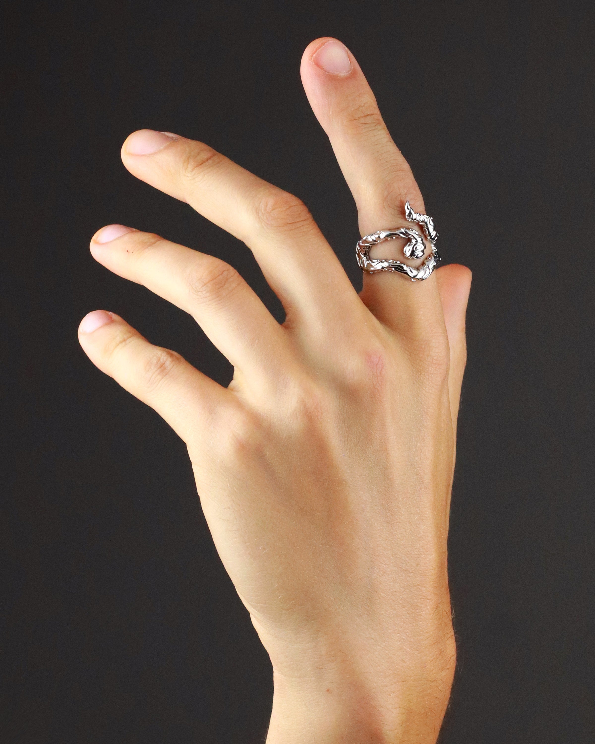 ETERNAL RING – Austin James Smith