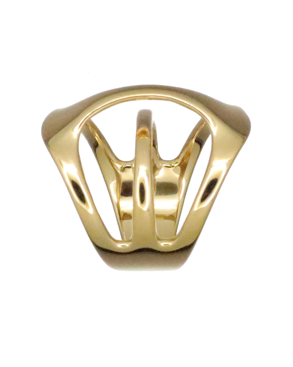 TENDON RING – Austin James Smith